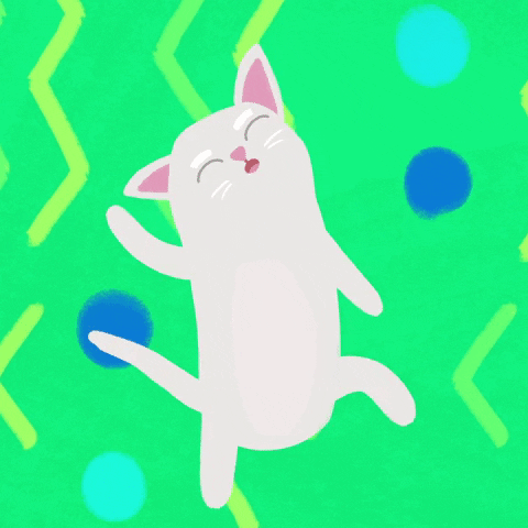 Animated Dancing Cat Gifs