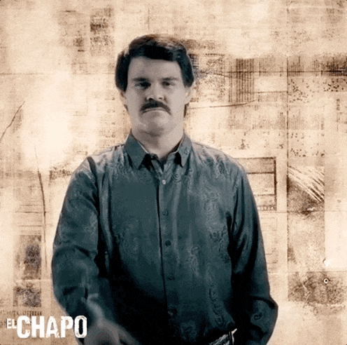 #Chapo #Netflix #Narco #Politics GIF - Find & Share on GIPHY