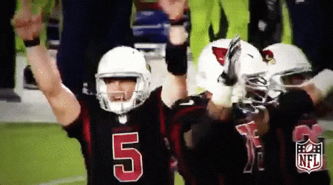 Arizona Cardinals Football GIF by NFL - Find & Share on GIPHY
