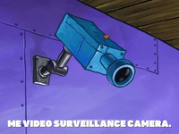 Security Camera Footage Gif