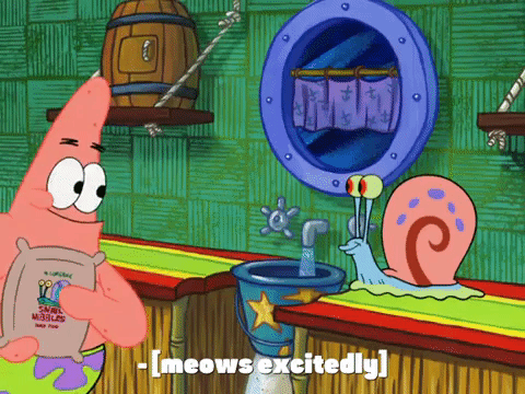 Season 8 Barnacle Face GIF by SpongeBob SquarePants - Find & Share on GIPHY