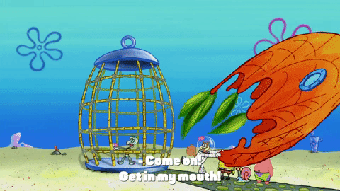 Season 9 The Fish Bowl GIF by SpongeBob SquarePants - Find & Share on GIPHY