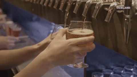 Beer Snacks GIFs - Get the best GIF on GIPHY