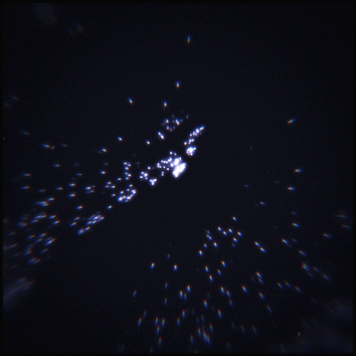 Gif Artist Glow GIF by Erica Anderson - Find & Share on GIPHY