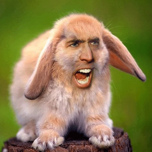 Nicolas Cage Face Off Gif