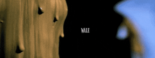 Mfa Columbia GIFs - Get the best GIF on GIPHY