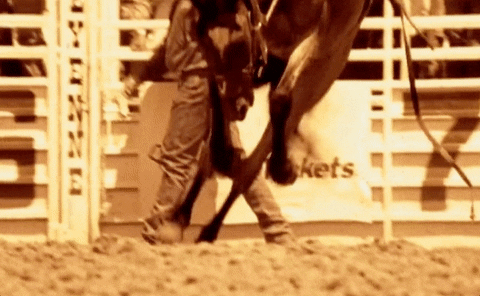 Country Music Horsepower GIF by Chris LeDoux - Find & Share on GIPHY