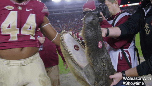 College Football Fsu GIF by SHOWTIME Sports - Find & Share on GIPHY