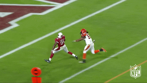 Arizona Cardinals Football GIF by NFL - Find & Share on GIPHY