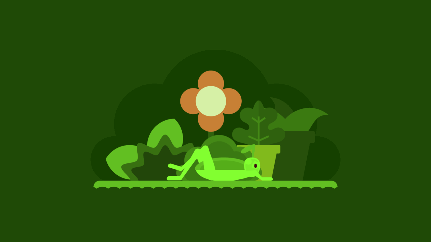 Animation Design GIF - Find & Share on GIPHY