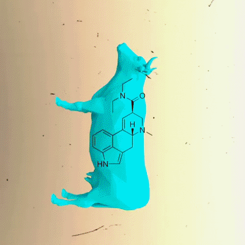Here-you-got-something-to-share GIFs - Get the best GIF on GIPHY
