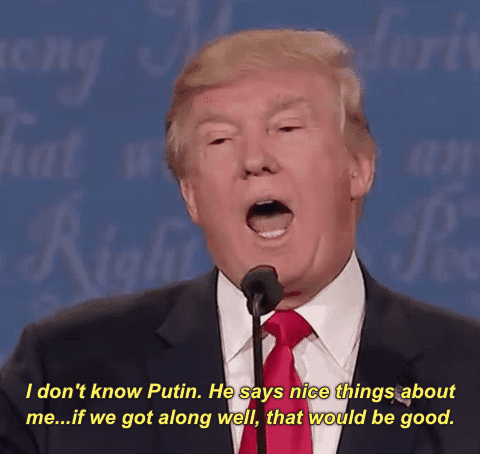 Donald Trump He Says Nice Things About Me GIF by Election 2016 - Find ...