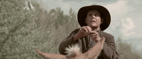 Spectacled Owl GIFs - Get the best GIF on GIPHY