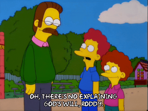 Episode 19 Todd Flanders GIF - Find & Share on GIPHY