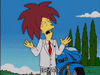 Sideshow Bob Rakes