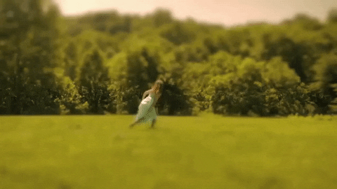 Paddy Field GIFs - Get the best GIF on GIPHY