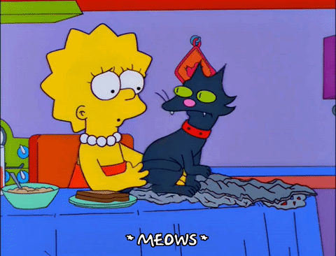 Lisa Simpson Cat GIF - Find & Share on GIPHY