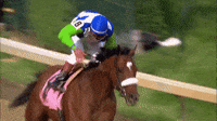 Horse Racing Animated Gif