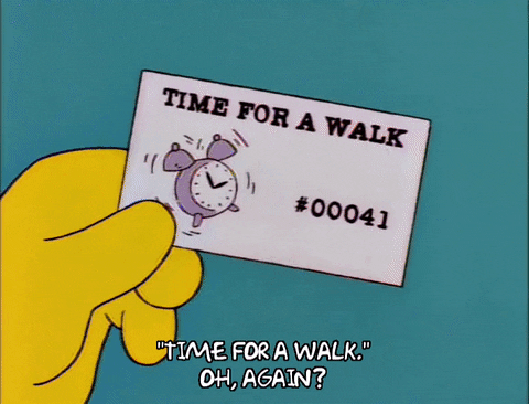 Walk-time GIFs - Get the best GIF on GIPHY