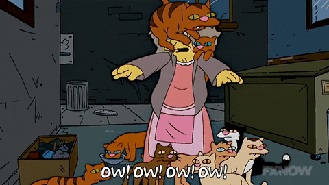Cat Lady Simpsons GIFs - Get the best GIF on GIPHY