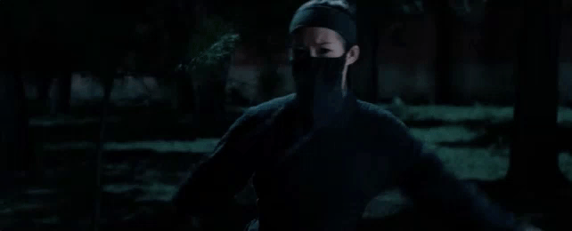 GIF by Crouching Tiger, Hidden Dragon - Find & Share on GIPHY