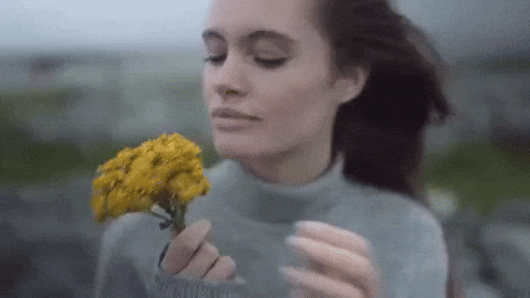 Sniff-the-flowers GIFs - Get the best GIF on GIPHY