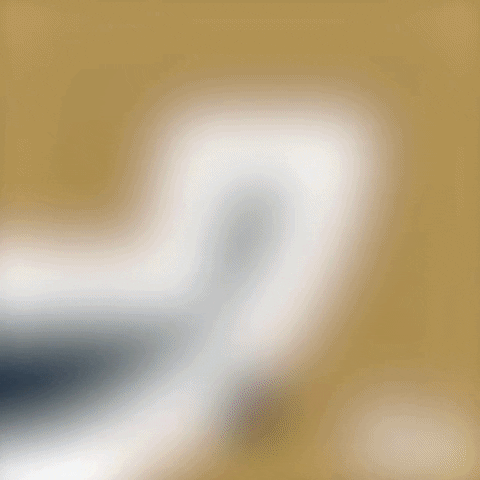 Georgia Tech Yellow Jackets GIFs - Get the best GIF on GIPHY