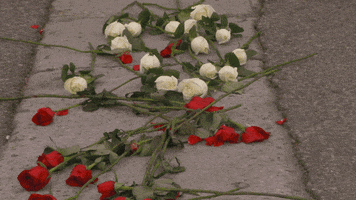 Good Luck Have Fun GIFs - Find & Share on GIPHY