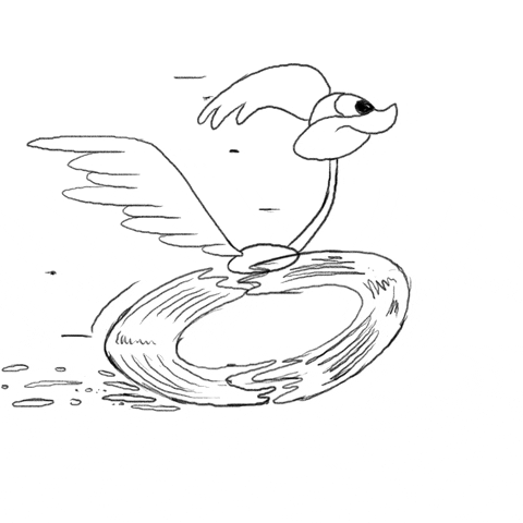 Corre-caminos GIFs - Get the best GIF on GIPHY