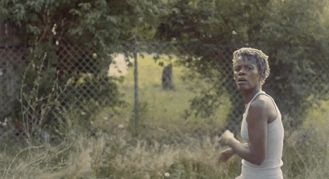 - Find & Share on GIPHY