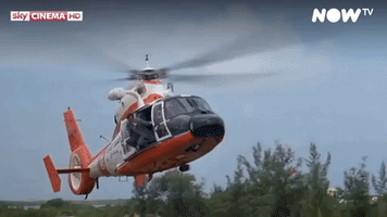 Ekis GIFs - Find & Share on GIPHY