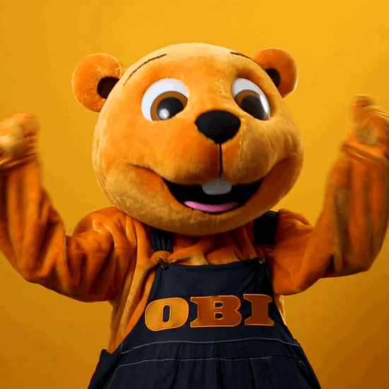 Victory Sieg GIF by OBI Baumarkt - Find & Share on GIPHY