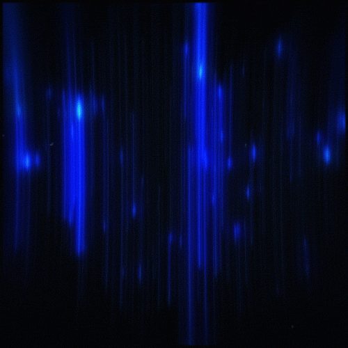 Lights Glow GIF by Erica Anderson - Find & Share on GIPHY