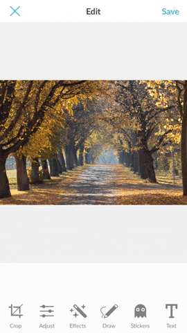 Photo Effects GIFs - Get the best GIF on GIPHY