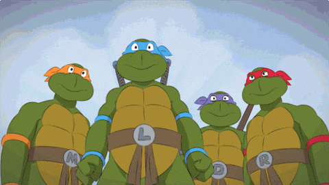 Dancing Ninja Turtle Gif