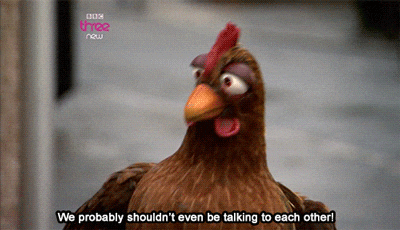 We-probably-shouldnt-even-be-talking-to-each-other GIFs - Get the best ...