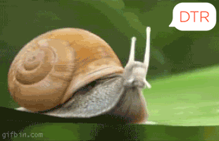 Rocket Snail GIF by DTR - Find & Share on GIPHY