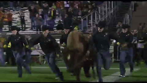 Runralphierun GIFs - Get the best GIF on GIPHY
