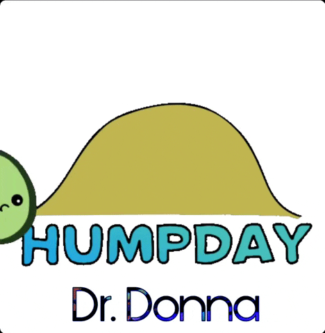 Half Way Through The Week GIFs - Get the best GIF on GIPHY