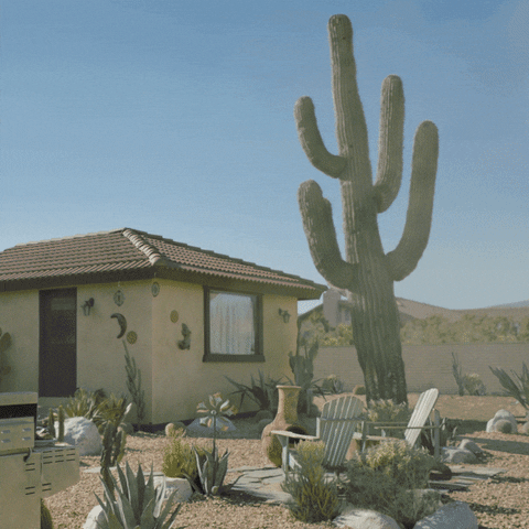 Disaster Insurance GIFs - Get the best GIF on GIPHY