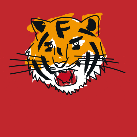 Wild Cat GIF by FOLKFOLK COFFEE - Find & Share on GIPHY