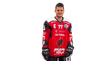 Sport Goal Sticker by HDD SIJ Acroni Jesenice