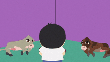 Episode 4 - Fun with Veal GIFs on GIPHY - Be Animated