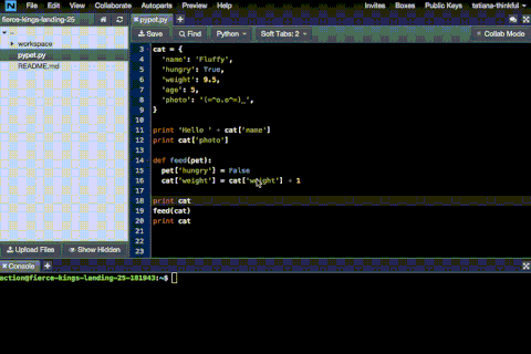 Hell Cats GIFs - Get the best GIF on GIPHY