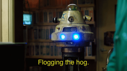 Flogging-the-hog GIFs - Get the best GIF on GIPHY