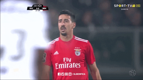 Sl Benfica Slbgifs GIF by Sport Lisboa e Benfica - Find & Share on GIPHY