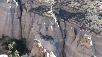 New Mexico State University GIFs - Find & Share on GIPHY