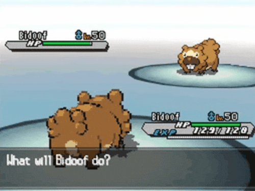 Bidoof Is On Fire