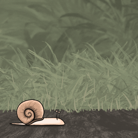 Illustration Snail GIF - Find & Share on GIPHY
