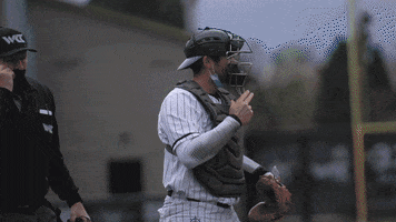 Baseball GIFs on GIPHY - Be Animated